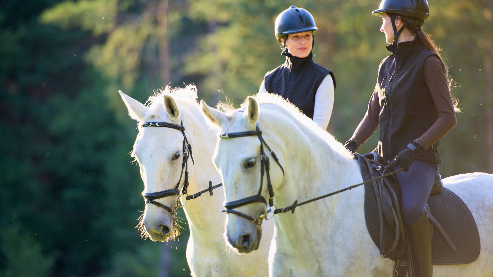 Horse Riding Tips | Using Your Inside & Outside Rein